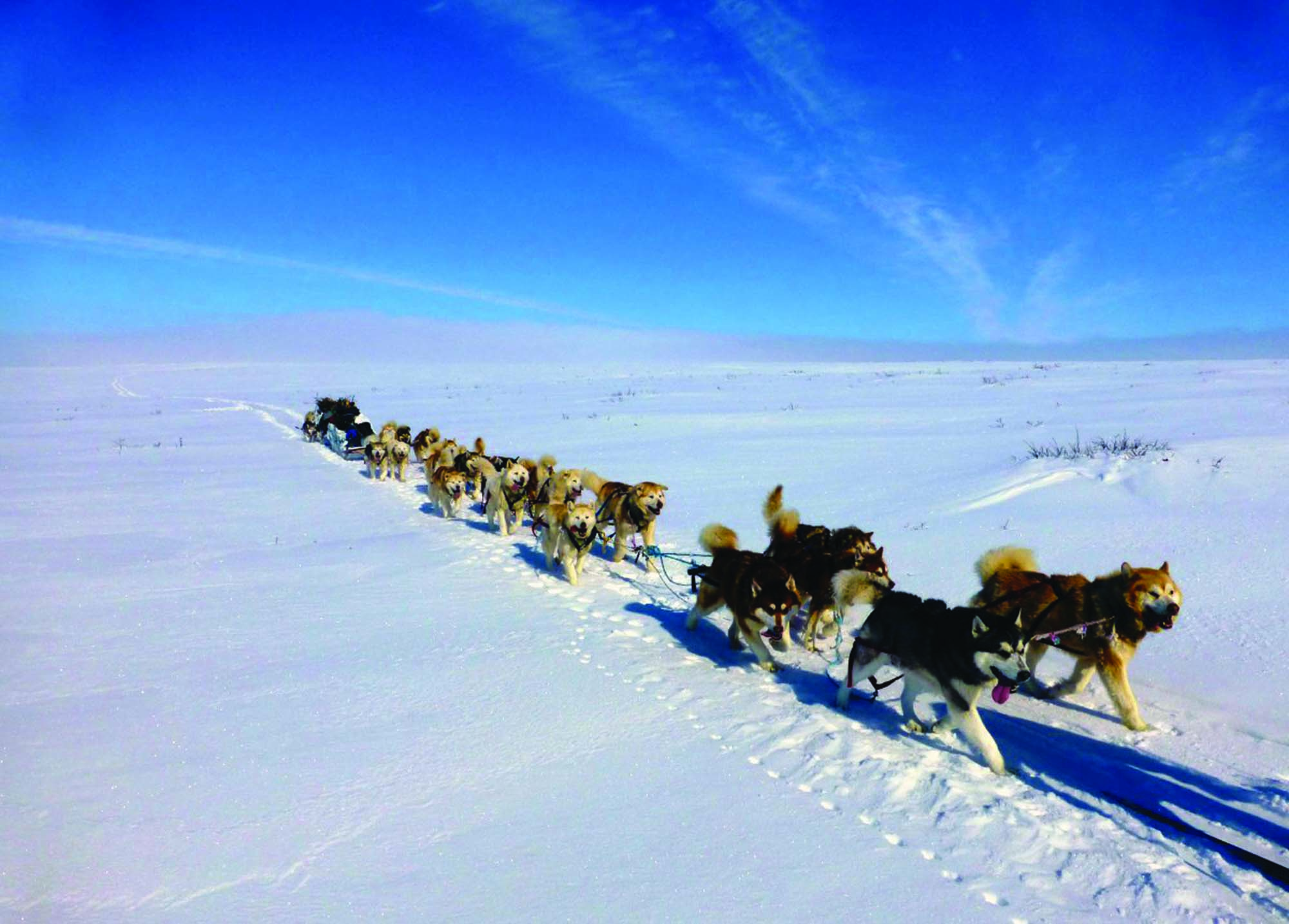 Live Your Dreams by Christine Meerman-Cooper – The Best You Magazine