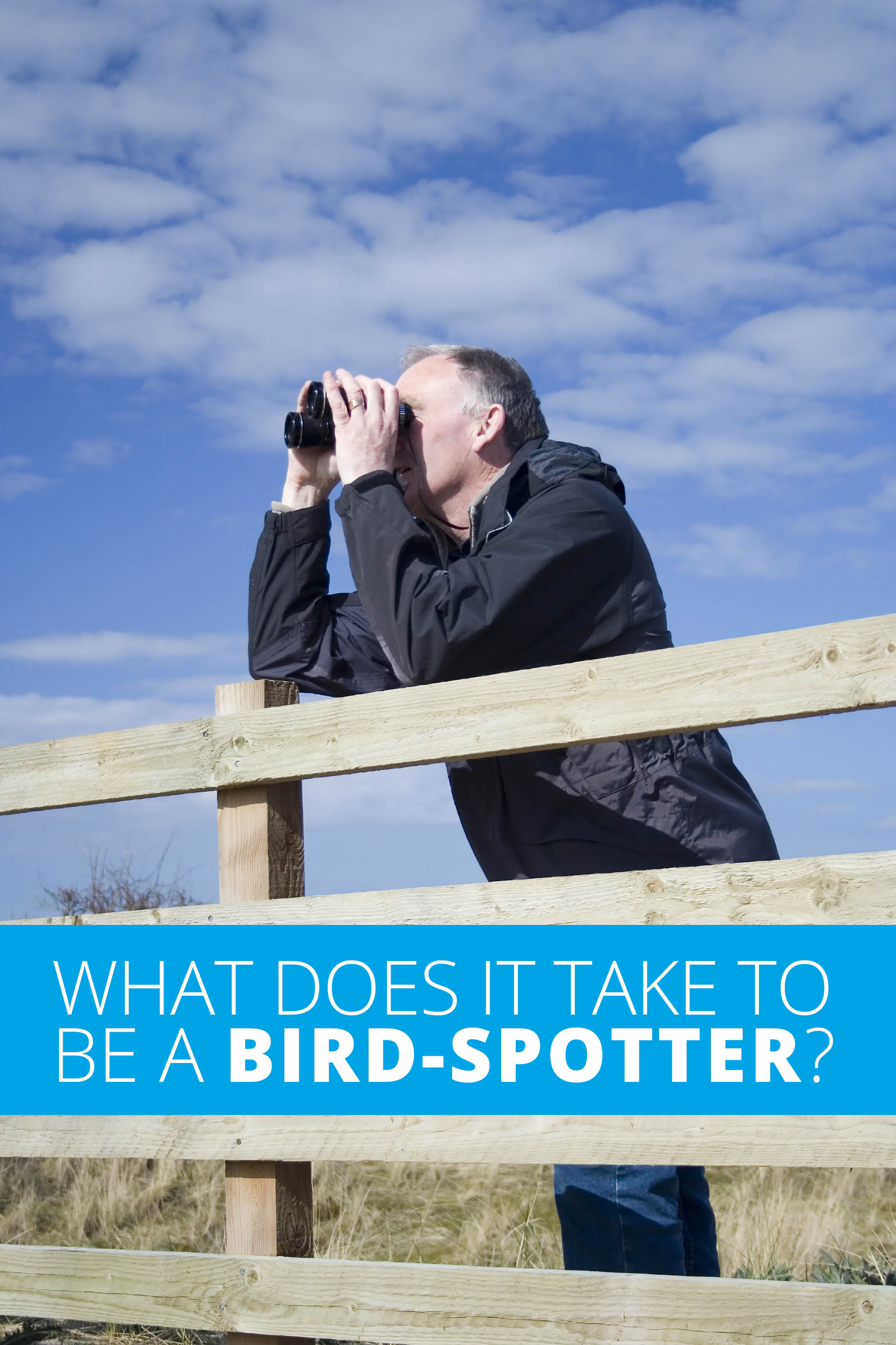 What does it take to be a bird-spotter? – The Best You Magazine